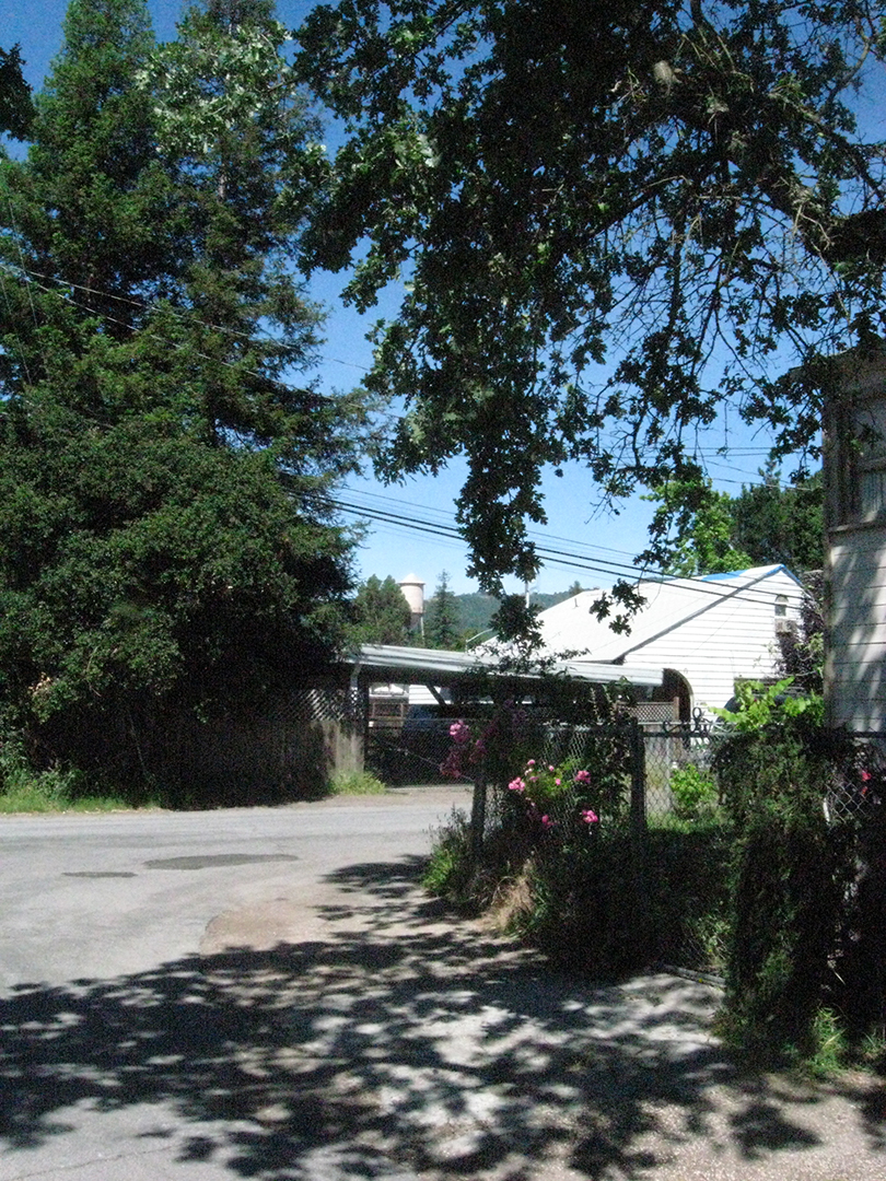 Twenty-four Views of the Tank | springs museum