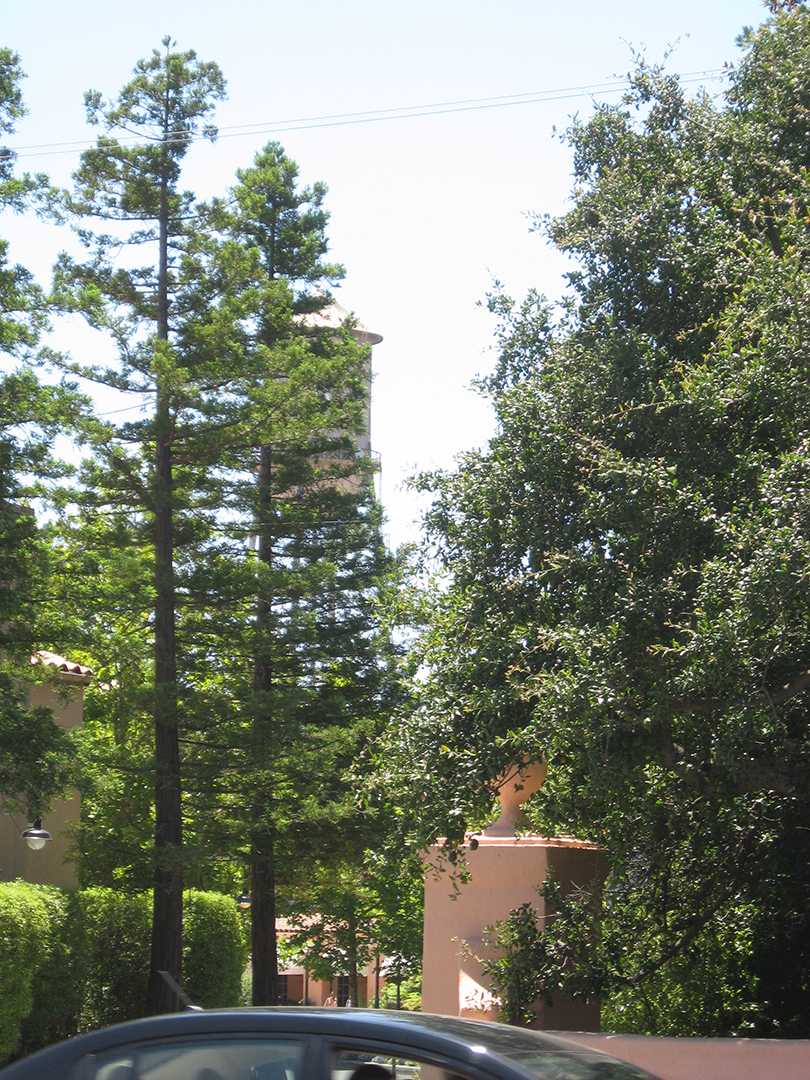 Twenty-four Views of the Tank | springs museum