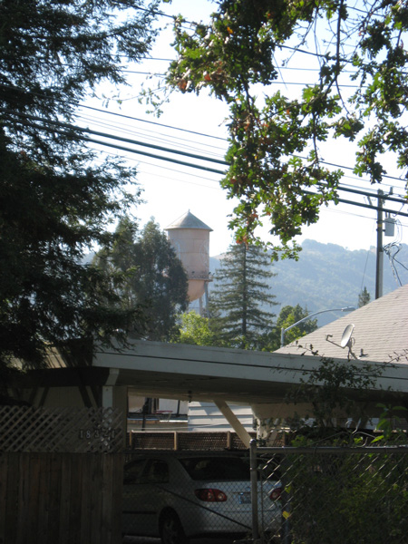 Twenty-four Views of the Tank | springs museum
