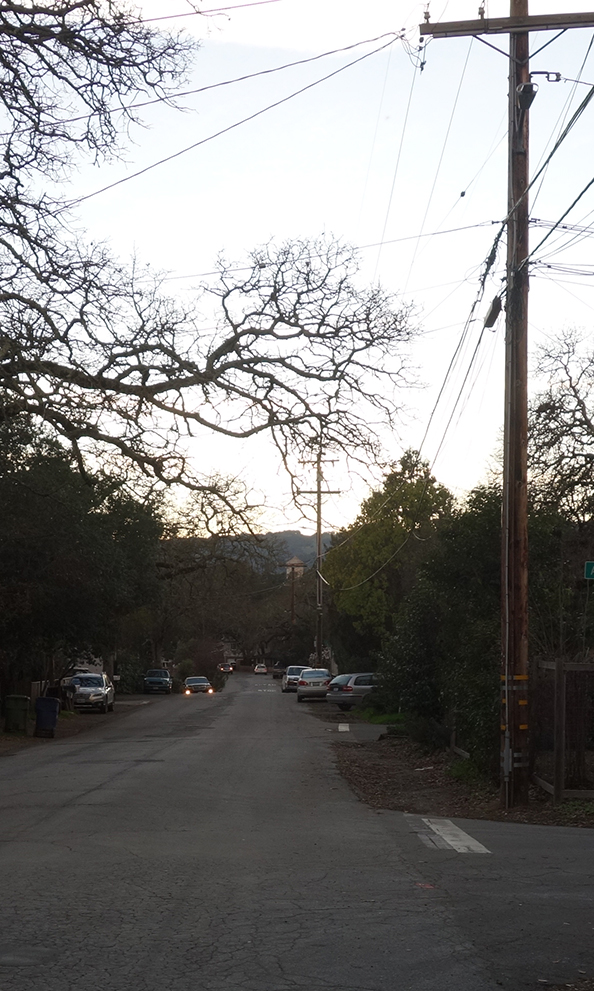 Twenty-four Views of the Tank | springs museum