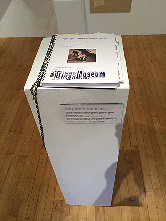 The Springs Museum Proposal | springs museum