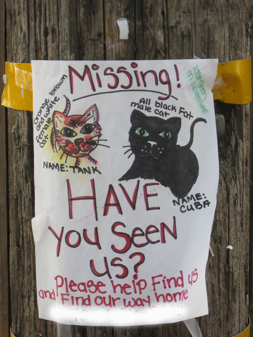 The Springs Museum Proposal | springs museum